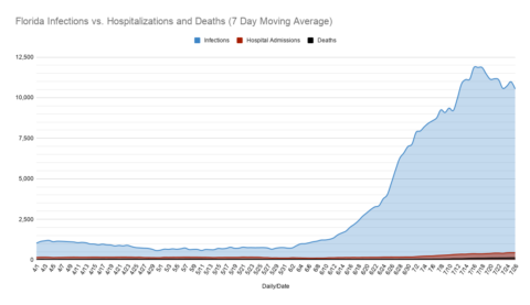 Florida hospital bed capacity increasing, new infections slowing | The ...